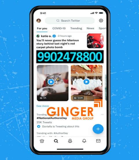 Digital Marketing Services - Ginger Media Group