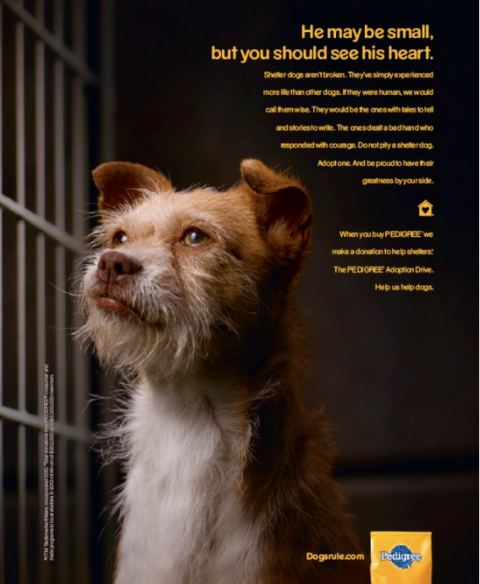 Top Magazine Ads for Business Success